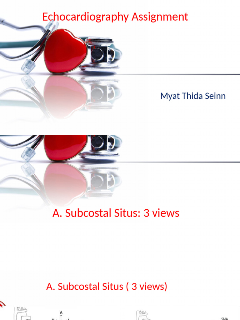 Subcostal Situs in Echocardiography | PDF
