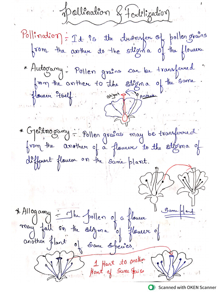 Pollination Part 1 | PDF