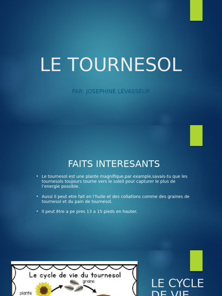Faits et cycle de vie du tournesol | PDF