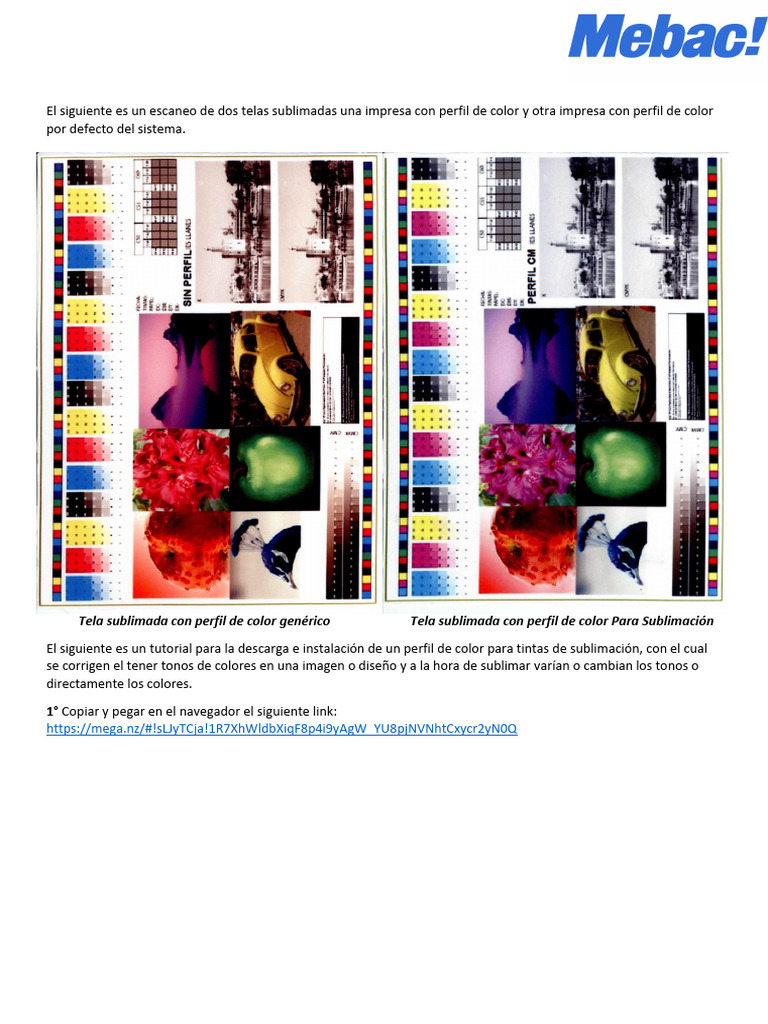 Instalación de Perfil de Color para Sublimación | PDF | Impresora ...