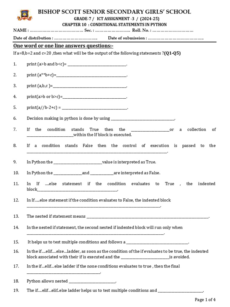 Python Conditional Statements Assignment | PDF | Software Engineering ...