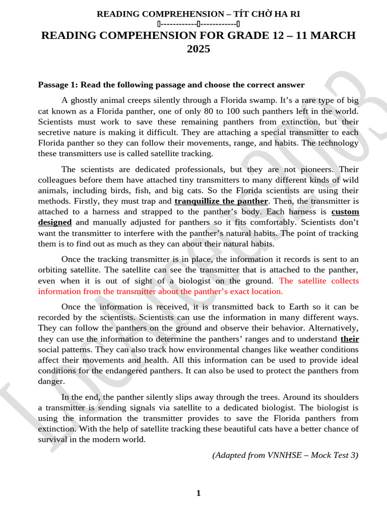 L P 12 - Reading Comprehension - Homework - 11 Mar 2025 | PDF | Satellite