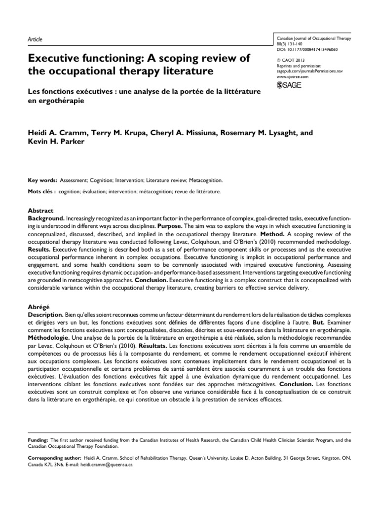 Executive Functioning A S | PDF | Occupational Therapy | Metacognition