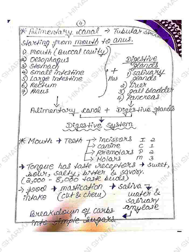 Class 10 Ncert Science CH 1 Life Process Notes | PDF