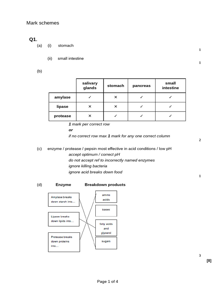 a900e0ae 299e 4e78 8158 4ccc09d6c0e5_Digestion Mark Scheme | PDF ...
