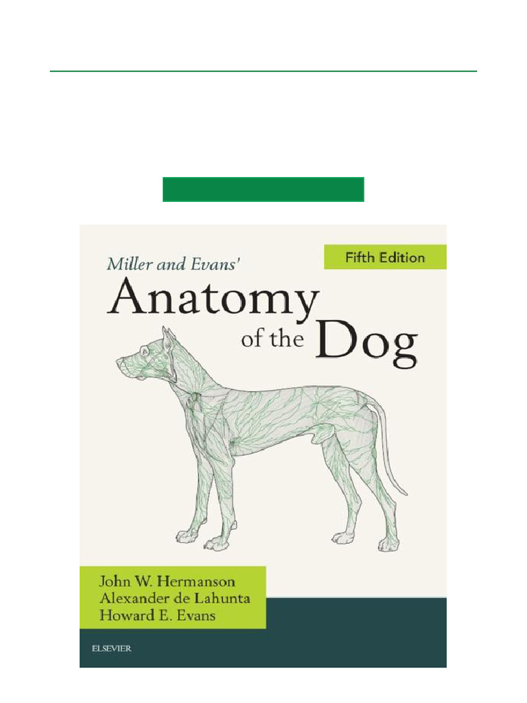 Miller and Evans' Dog Anatomy, 5th Ed. | PDF | Thorax | Spinal Cord