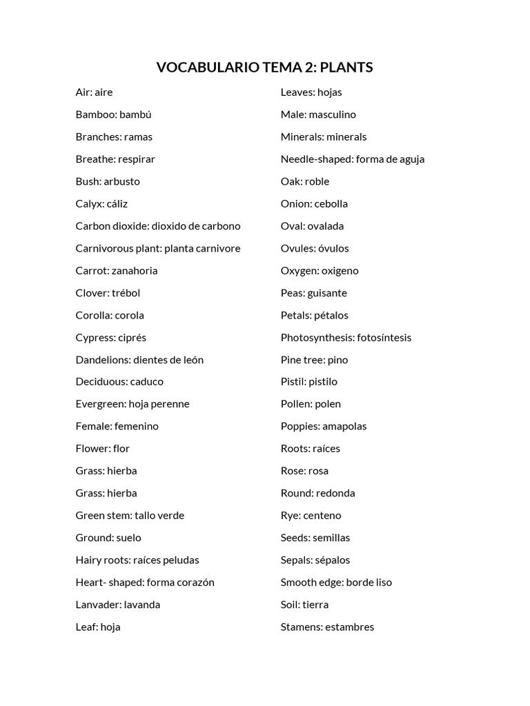 Vocabulario Tema 2 | PDF