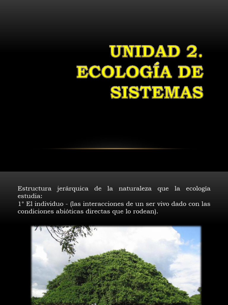 U.2. Ecologia de Sistemas | PDF | Ecosistema | Suelo