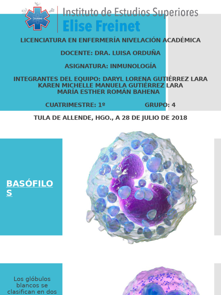 Basófilos | PDF | Antígeno | Sistema inmune