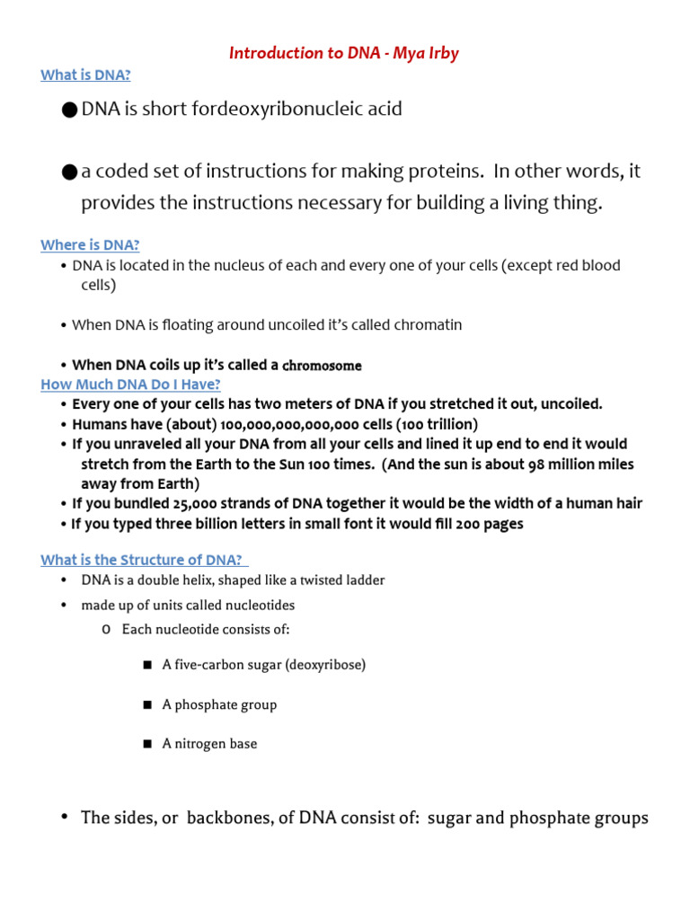 Introduction To DNA Notes | PDF
