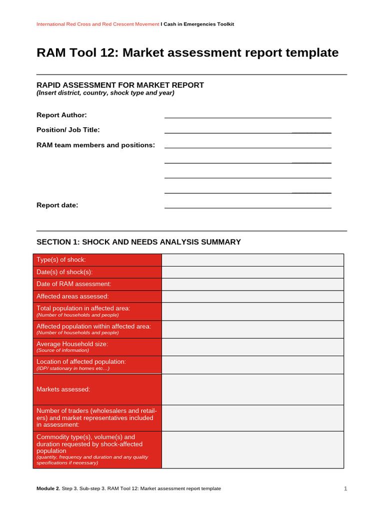 3 3 2 Market Assessment Report Template 1 | PDF | Market (Economics ...