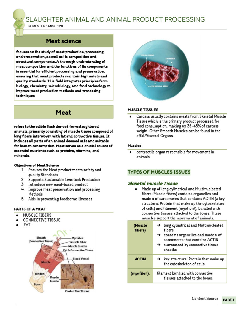 LES 6- ANSC 120 | PDF | Connective Tissue | Meat
