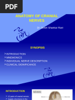 Cranial Nerves With Focus On Swallowing and Voice | PDF | Larynx | Tongue