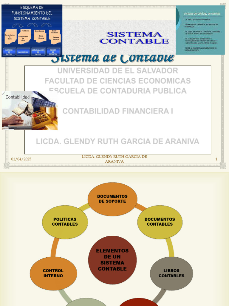 Elementos de un Sistema Contable | PDF | Contabilidad | normas ...