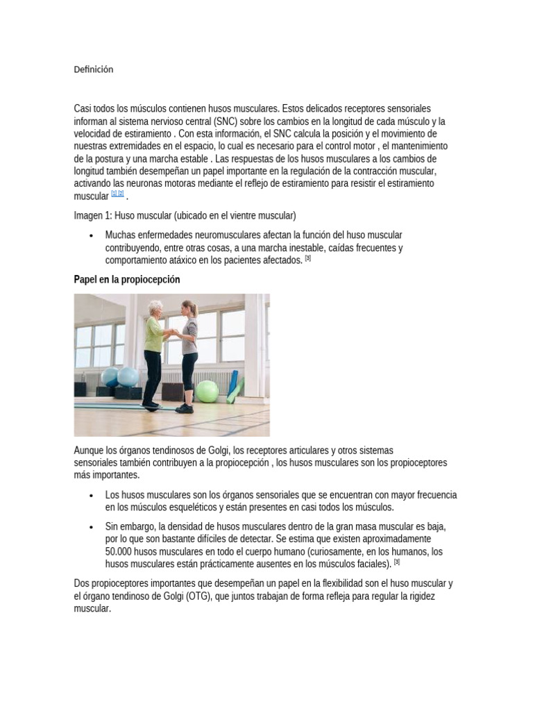 Definición y función del huso muscular | PDF | Músculo | Anatomía