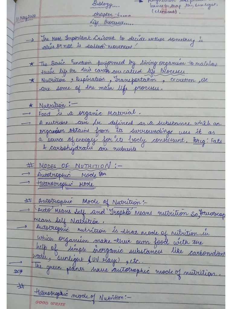Life Processes Notes Pdf