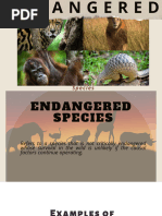 Endangered Animals Quiz | PDF