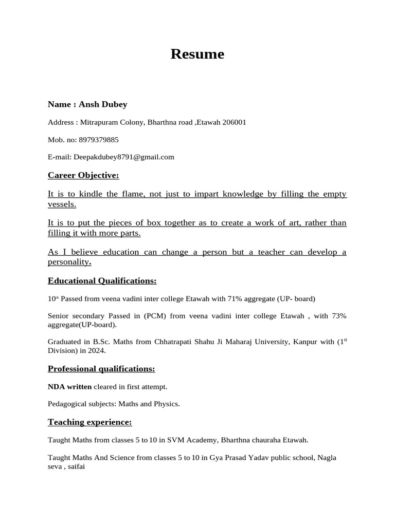 Ansh Dubey's Maths Teaching Resume | PDF