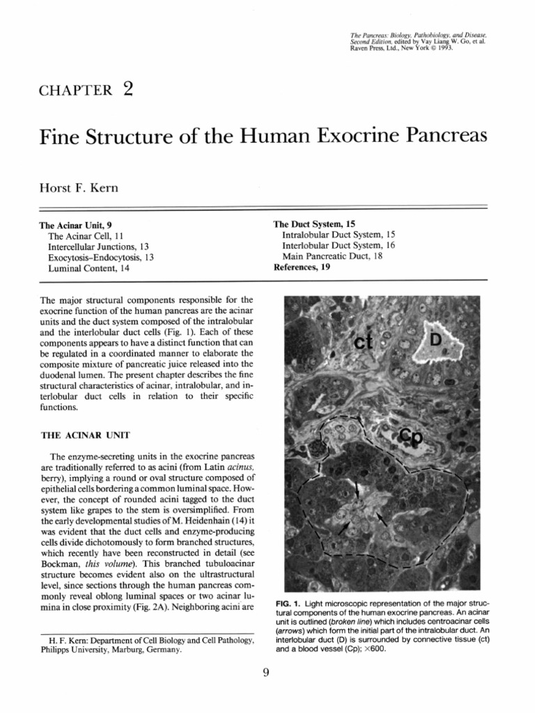The Pancreas Ch2 | PDF