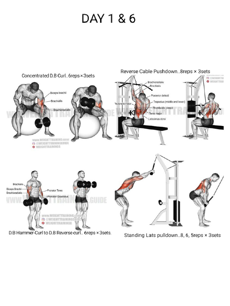 Workout Demonstration | PDF