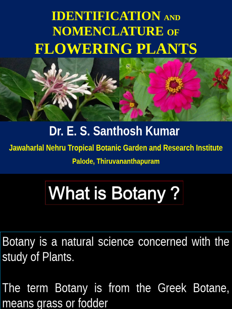 Identification and Nomenclature of Flowering Plants | PDF | Flowers | Petal