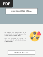 Gammagrafía Renal Estática con DMSA | PDF | Riñón | Imagenes medicas