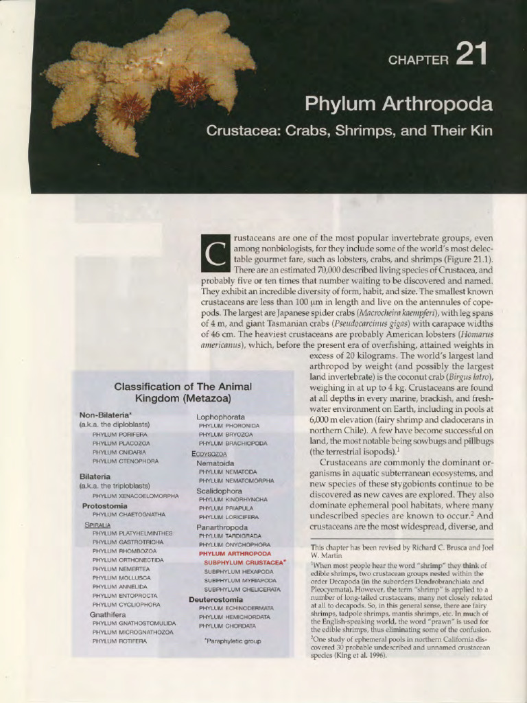 14. Crustáceos | PDF | Crustacean | Arthropods