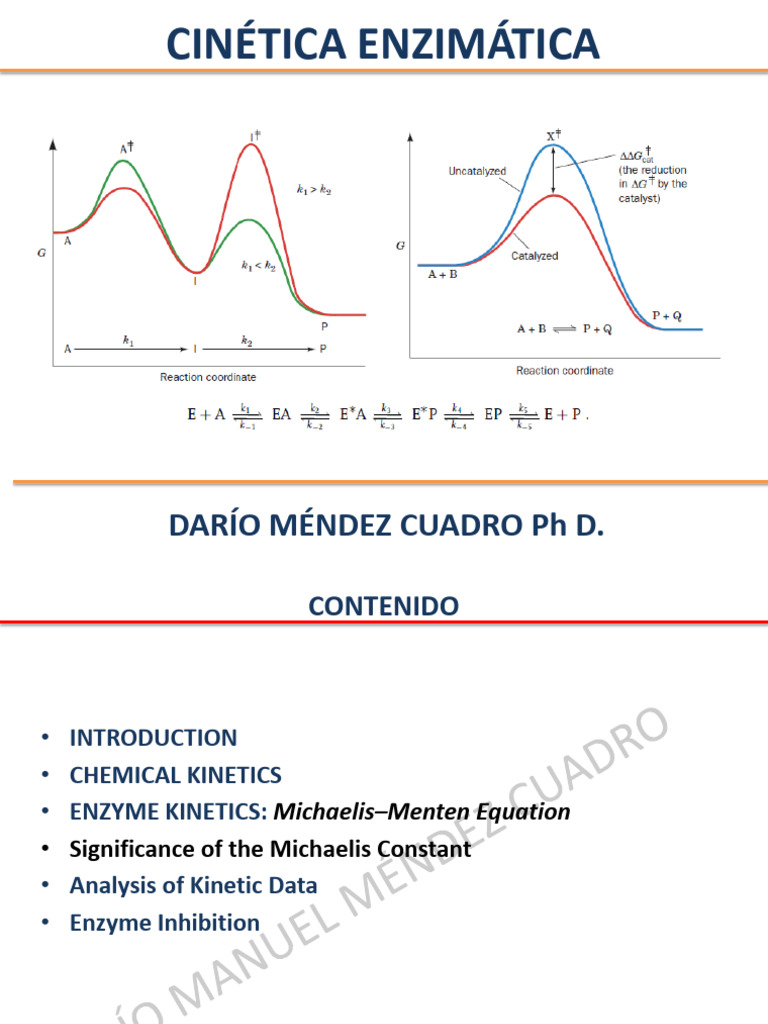 Enzyme Kinetics and Inhibition Explained | PDF | Enzyme Kinetics ...
