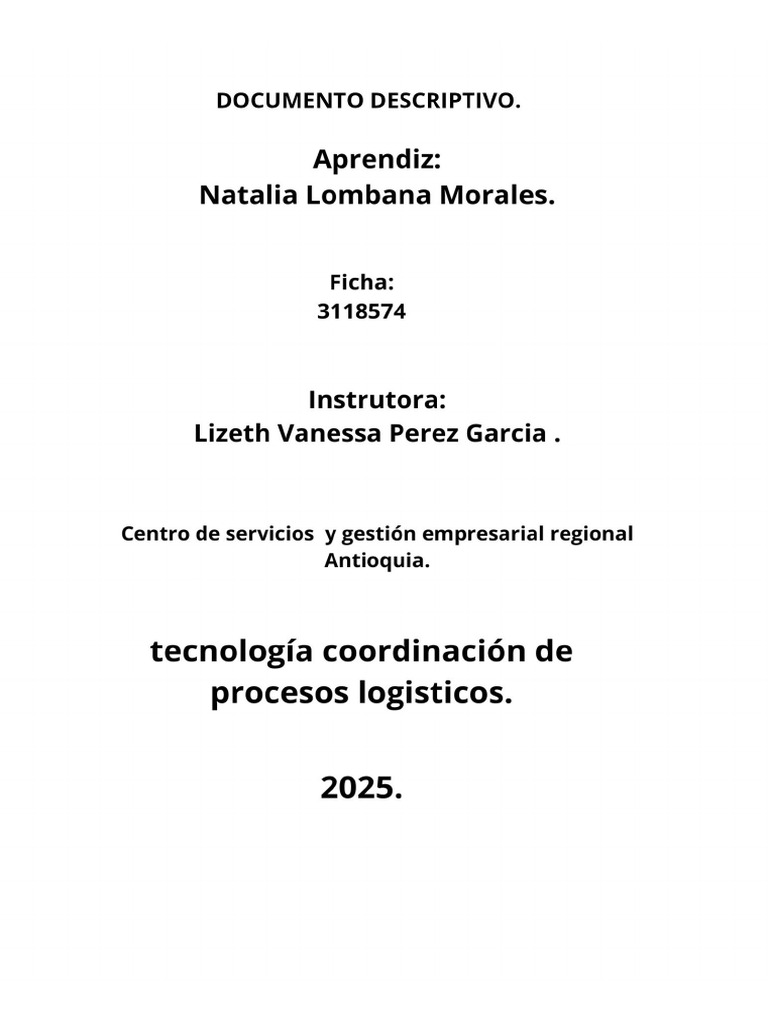 Documento Descriptivo PDF | PDF