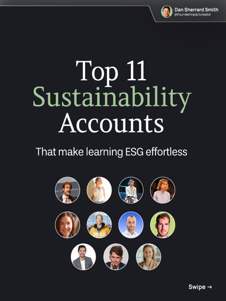 Top 11 Sustainability and ESG Accounts | PDF | Sustainability | Innovation