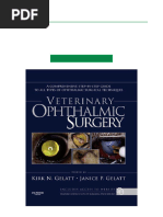 How To Get Hunter Eyes | PDF | Mouth | Eye