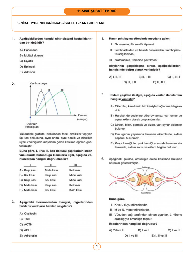 11.siniflar Ara Tati̇l Tekrar | PDF