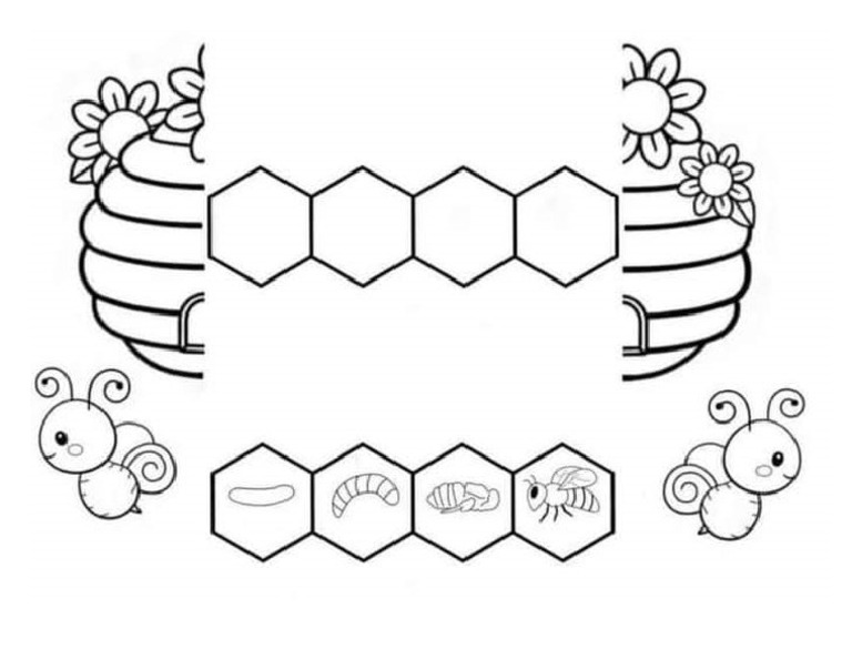 Ciclo de Vida de Una Abeja | PDF
