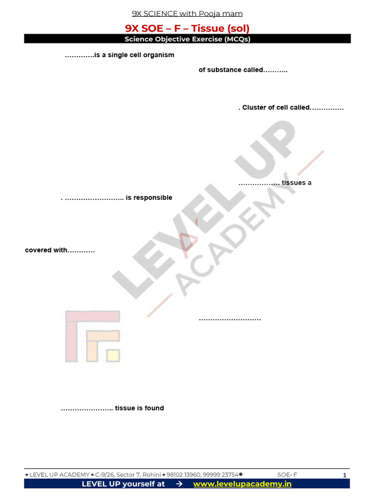 9X SOE - F - Tissue (sol) | PDF | Tissue (Biology) | Epithelium
