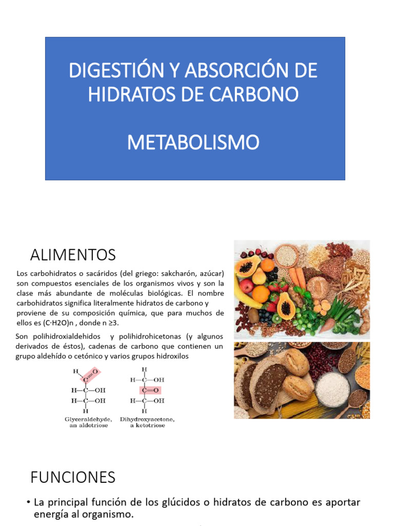 Metabolismo HDC | PDF | Dieta y nutrición | Química