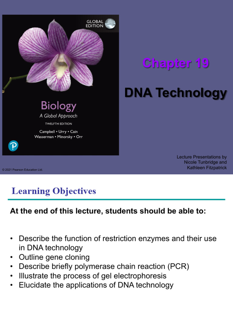 Lecture 15 - DNA technology | PDF | Molecular Cloning | Plasmid