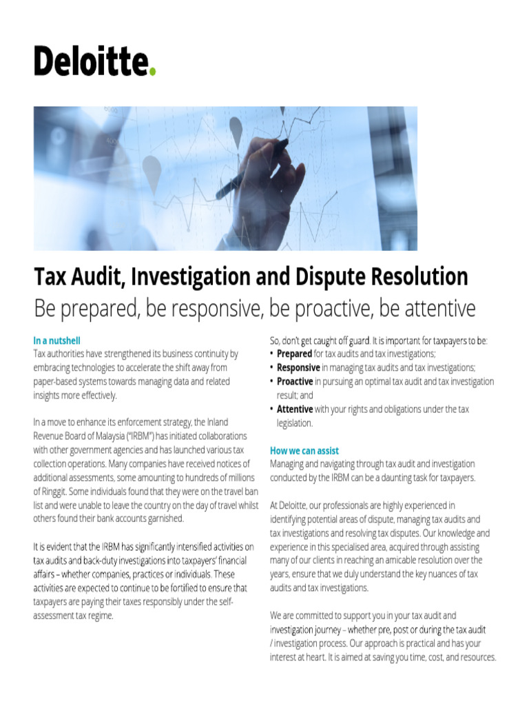 My Tax Audit Investigation Brochure | PDF | Taxes | Audit