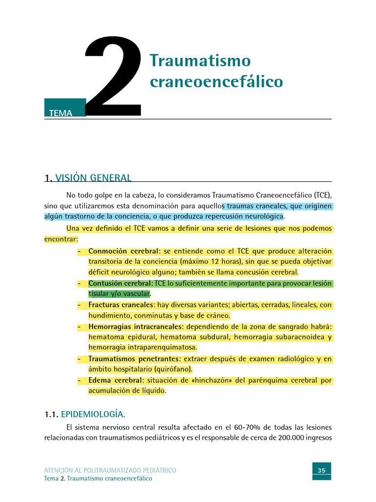 2 Tce | PDF | Lesión cerebral traumática | Especialidades Medicas