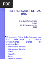Guía sobre Cromoniquia y Alteraciones Ungueales | PDF | Clavo (anatomía ...