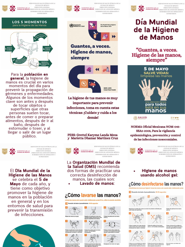 Promoción de la Higiene de Manos 2025 | PDF | Lavado de manos | Higiene