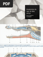 Scanographie des Sinus : Guide Complet | PDF | Anatomie humaine | Otorhinolaryngologie