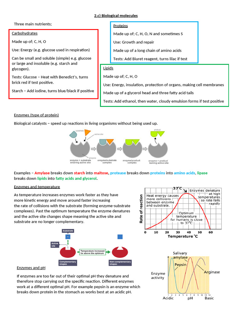 2.c) Biologicalmolecules 1 | PDF