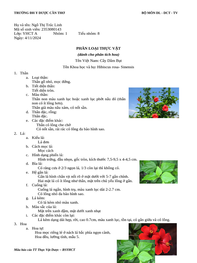 Bao Cao Thuc Tap Thuc Vat Duoc Bài 1 | PDF