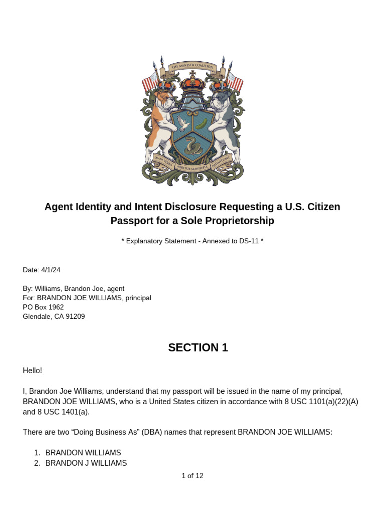 Explanatory Statement For The Amnesty Coalition | PDF | Citizenship ...