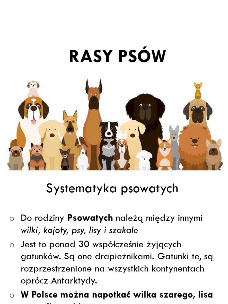 Rasy Psów | PDF