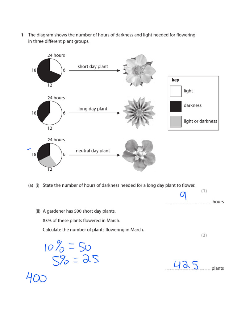 Photosynthesis & Plant Growth QP | PDF | Fruit Preserves | Plants