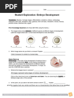 Comparative Embryology Activity | PDF | Hypothesis | Embryo