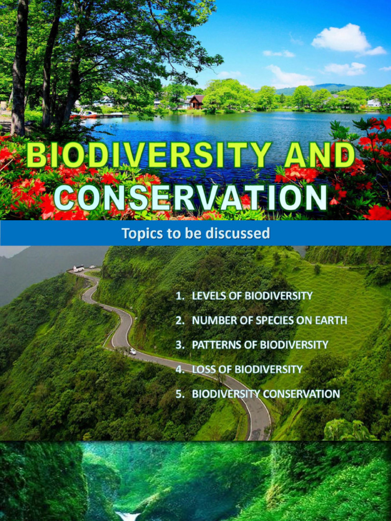 15Biodiversity and Conservation BOB | PDF