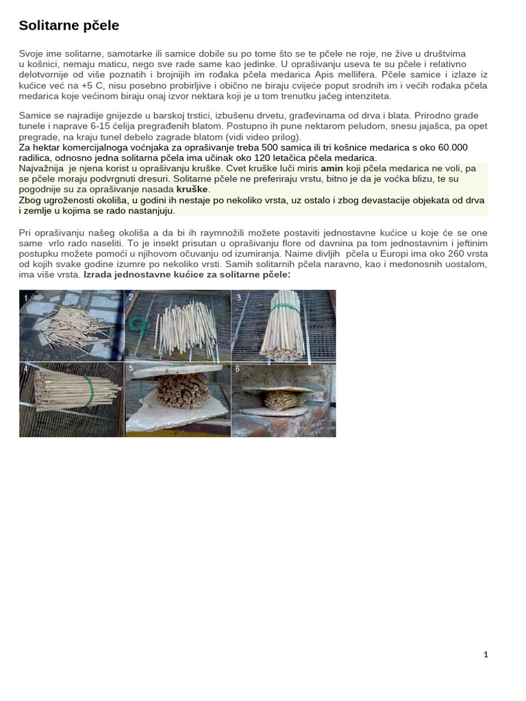 Solitarne Pcele | PDF