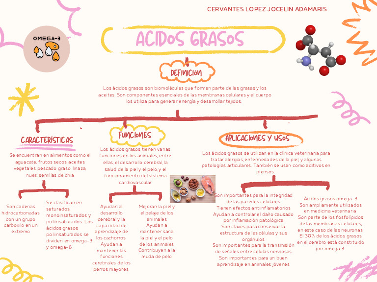 acidos grasos | PDF | Ácido graso | Ácido Graso Omega 3